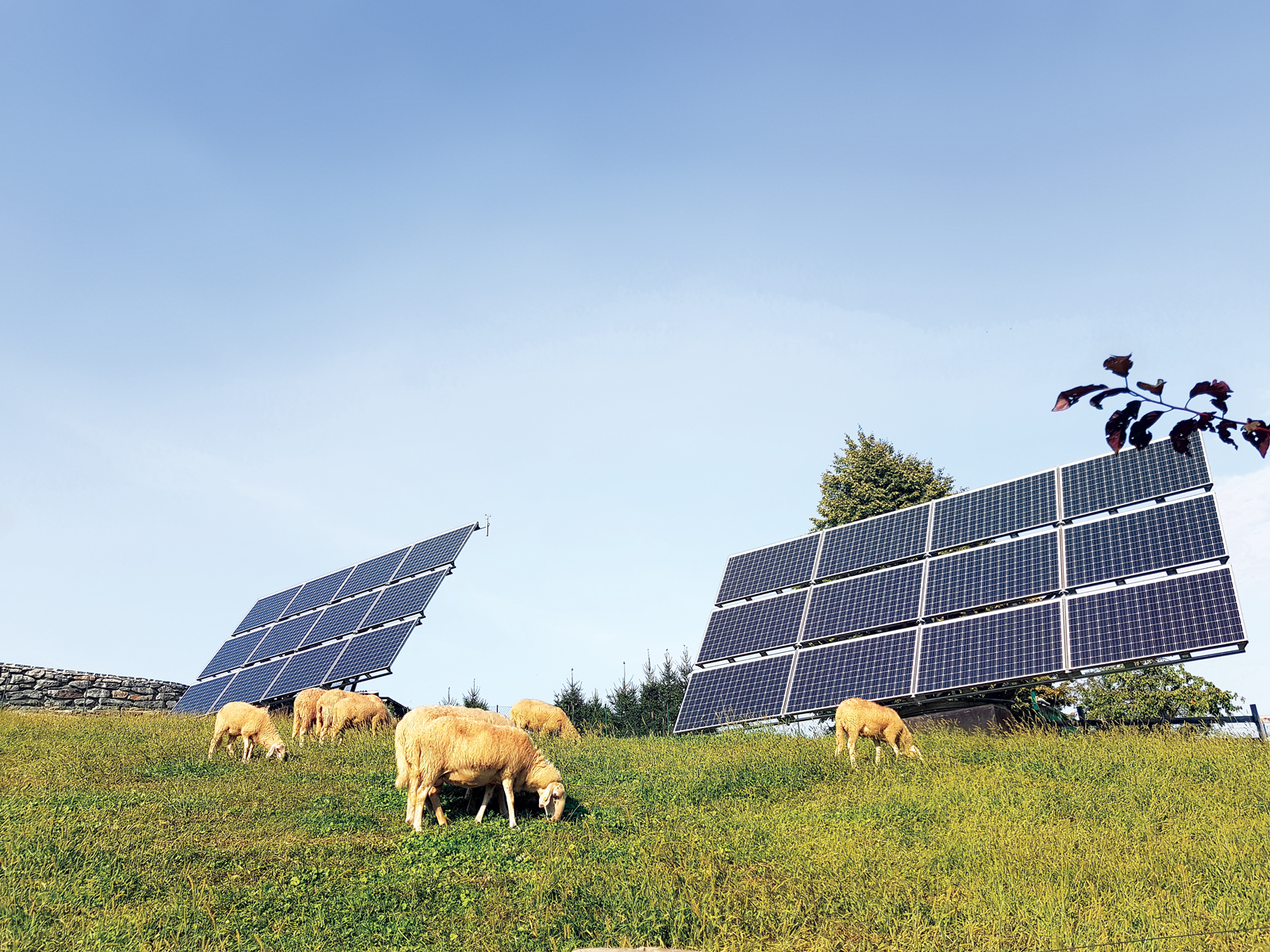 What is Net Metering for Solar? – Mother Earth News